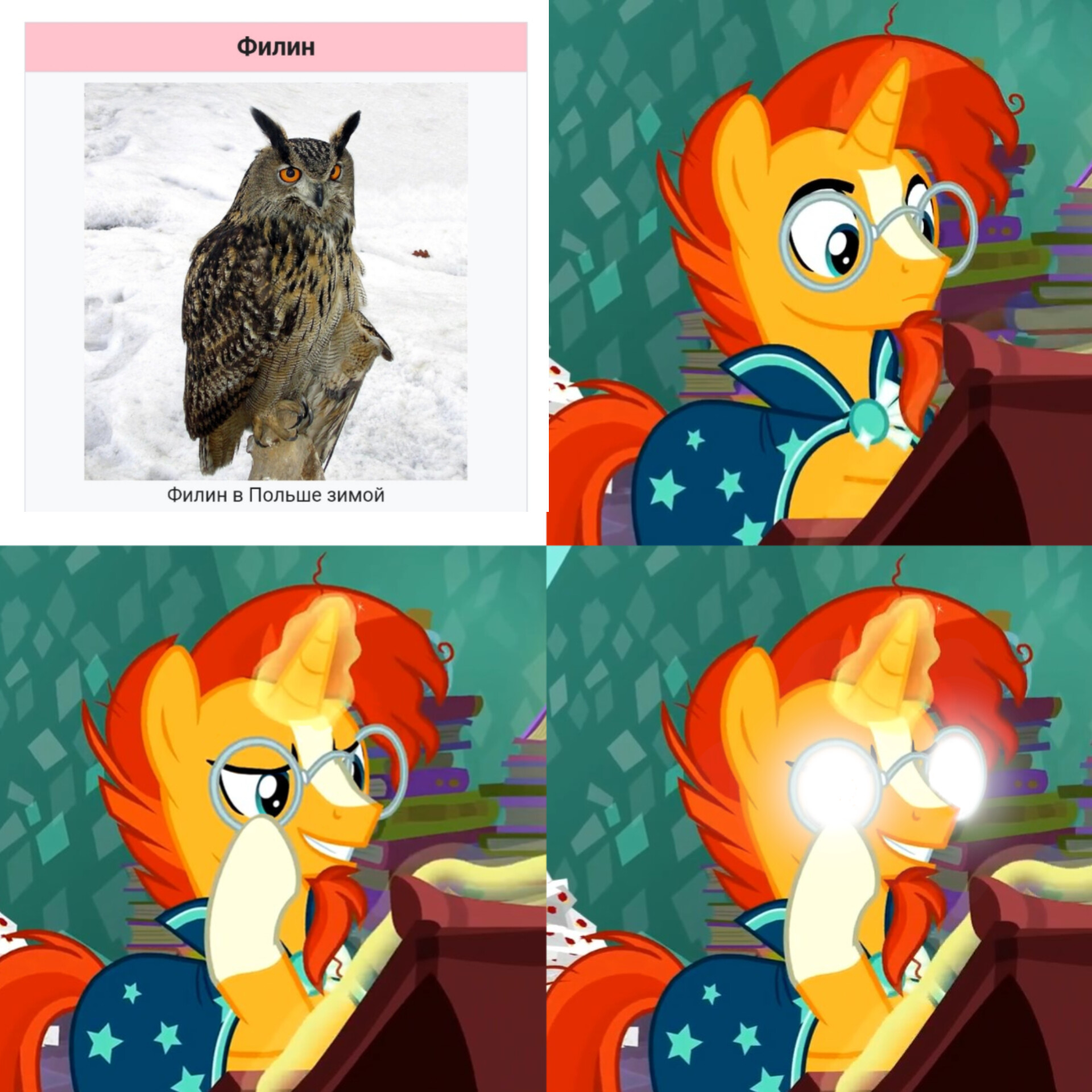 #3587857 - safe, sunburst, g4, meme - Derpibooru