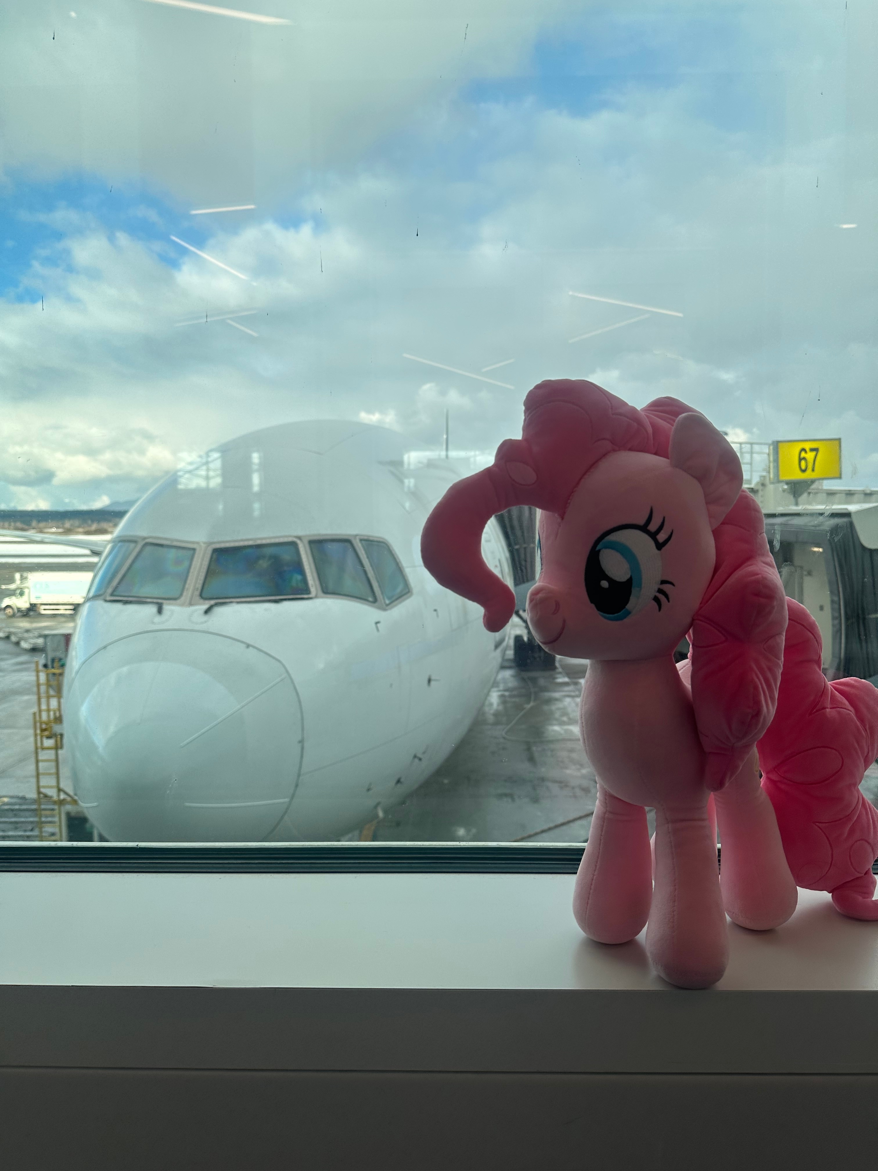 #3594296 - safe, photographer:furrydragon, pinkie pie, earth pony, pony ...