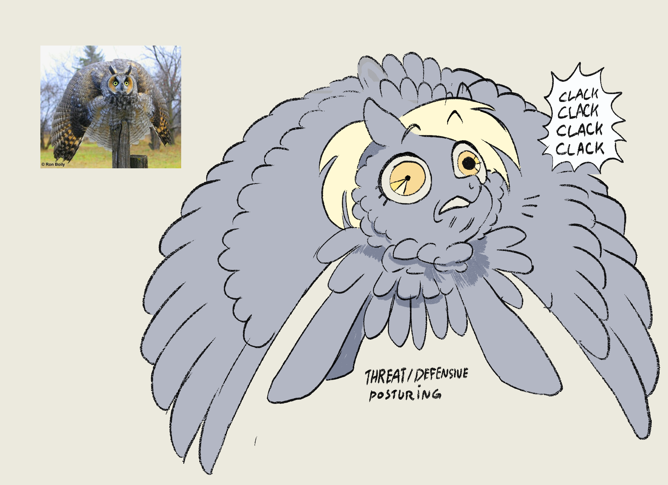 #3679343 - safe, artist:gorjee-art, derpy hooves, bird, owl, pegasus, pony, g4, behaving like a ...