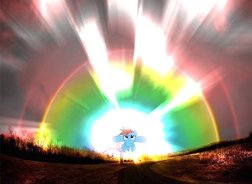 #113570 - safe, rainbow dash, pony, irl, photo, ponies in real life ...