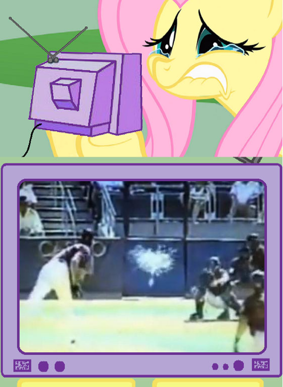 #144997 - dead source, safe, fluttershy, pony, g4, baseball ...