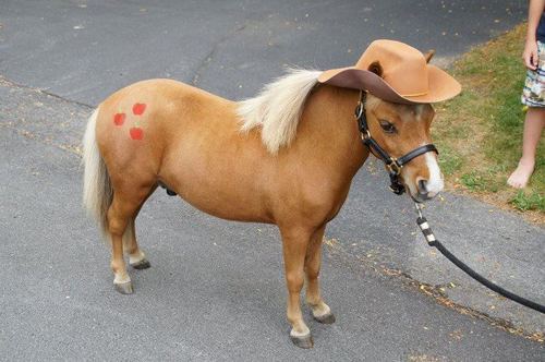 #170118 - safe, applejack, horse, g4, applejack (male), bridle, clothes ...