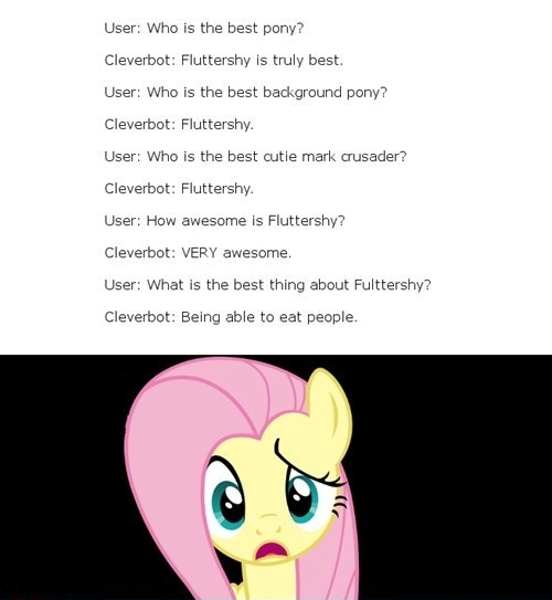 #189009 - safe, fluttershy, g4, cleverbot, cleverbot is insane, fake ...