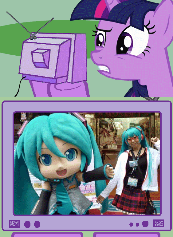 #174177 - safe, twilight sparkle, pony, g4, animated, exploitable meme ...