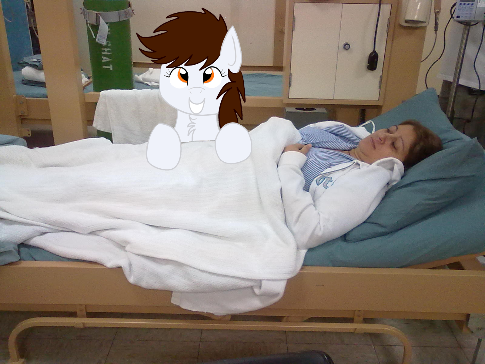 #9440 - safe, oc, oc only, oc:cancer, earth pony, human, pony ...