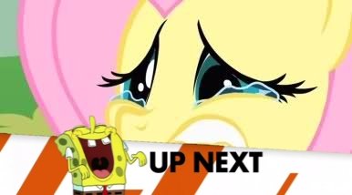 #27006 - safe, fluttershy, inappropriate timing spongebob banner ...