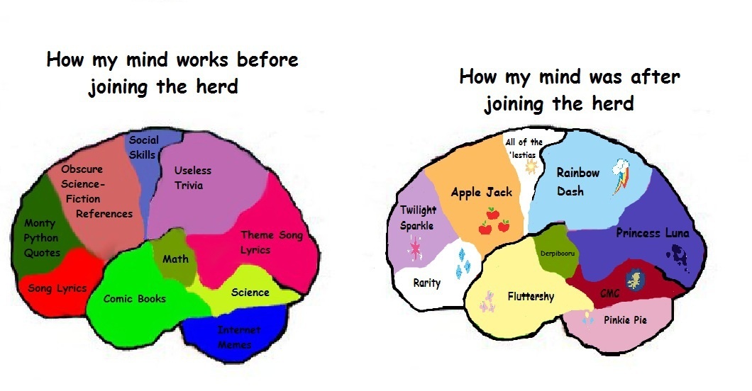 #36598 - safe, brain, comic sans, meta - Derpibooru