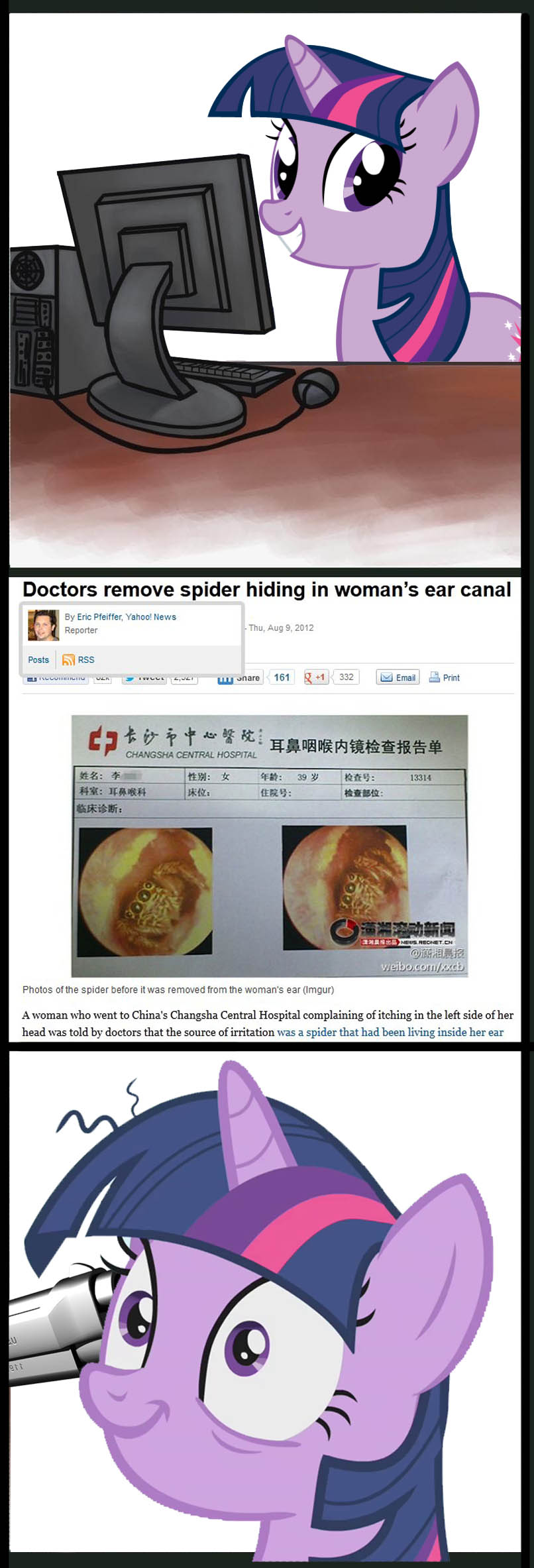 #74921 - safe, twilight sparkle, spider, g4, computer, computer meme ...