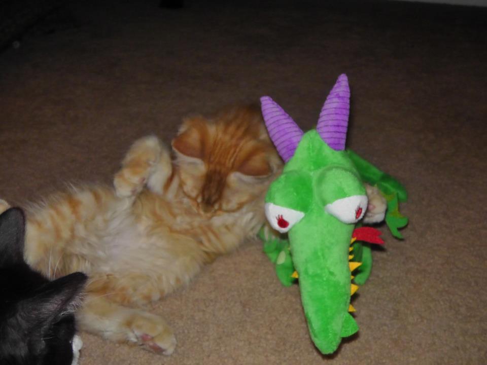 #66354 - safe, artist:onlyfactory, crackle, cat, dragon, bootleg, brony ...