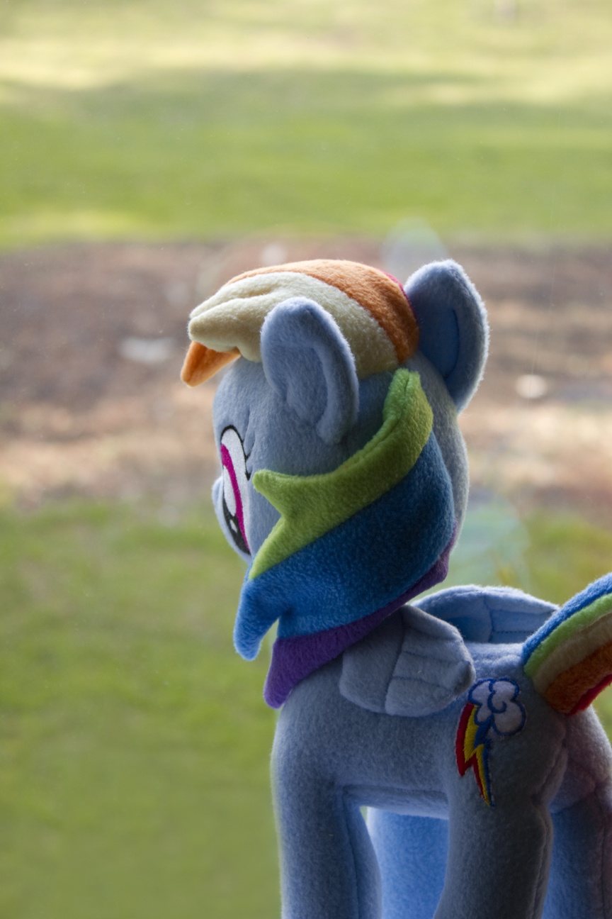 #70021 - safe, artist:davca, rainbow dash, fanfic:my little dashie, g4 ...