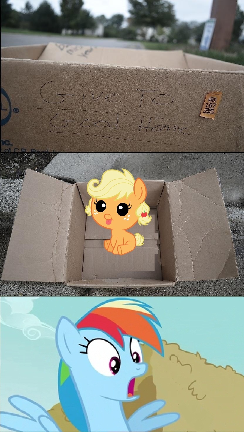 #239056 - safe, applejack, rainbow dash, earth pony, pegasus, pony, g4 ...