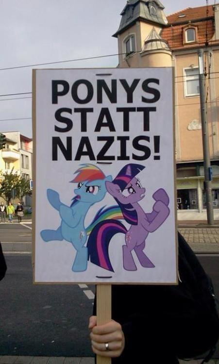#300539 - safe, rainbow dash, twilight sparkle, german, nazi, photo ...