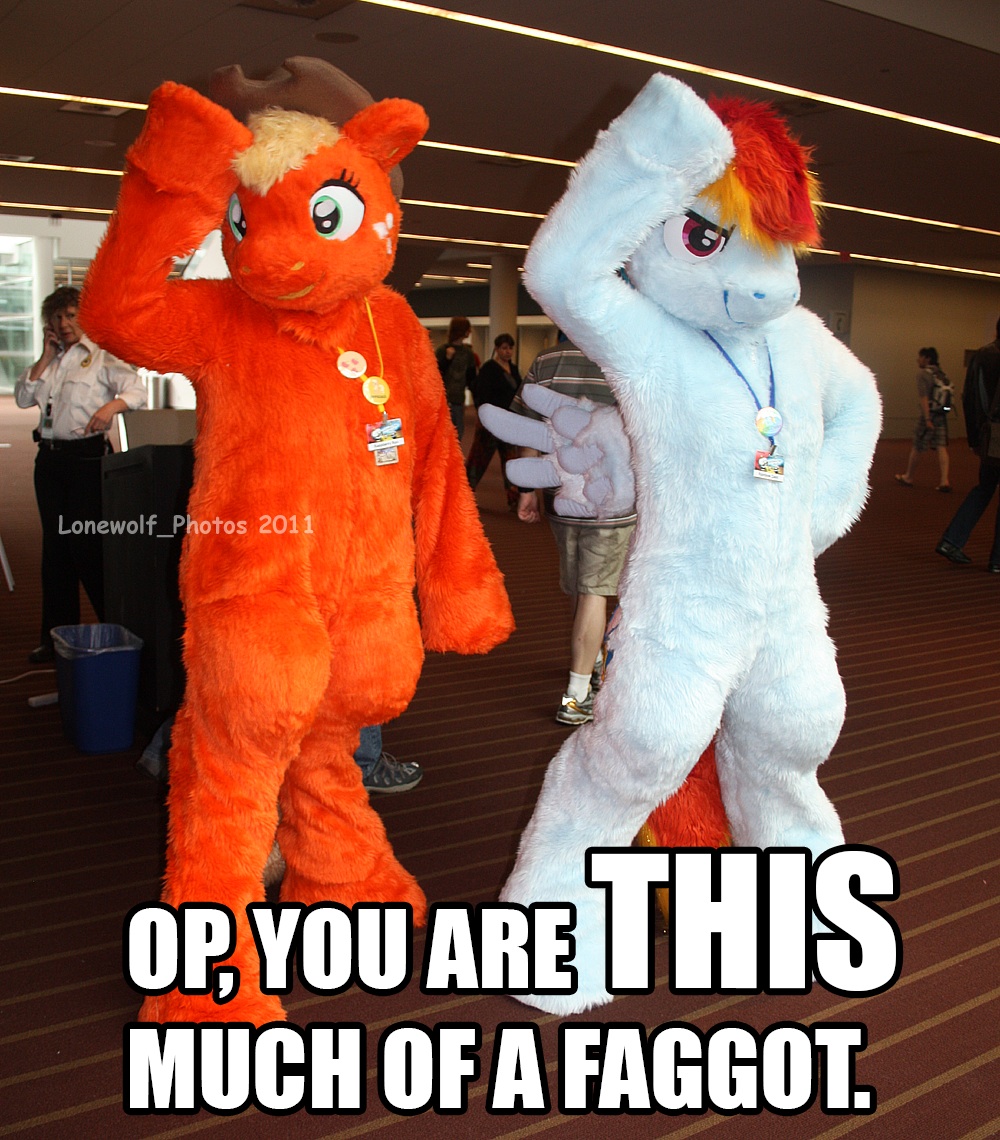#302170 - safe, applejack, rainbow dash, human, fursuit, image macro ...