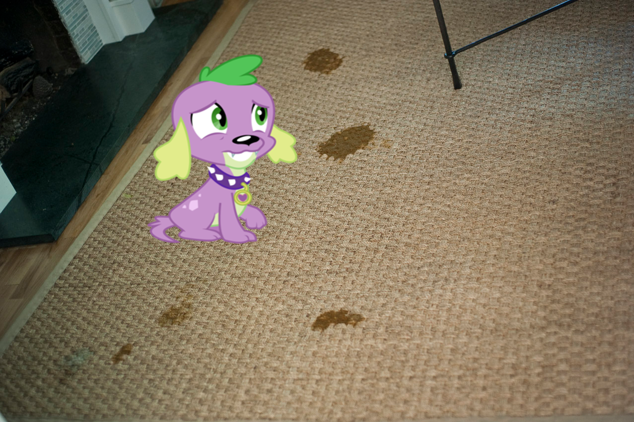 #333044 - questionable, spike, dog, equestria girls, poop, scat, spike ...