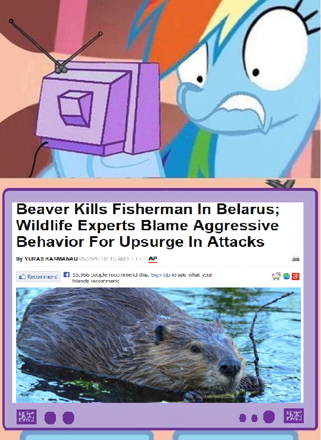 #337966 - safe, rainbow dash, beaver, g4, belarus, exploitable meme, tv ...