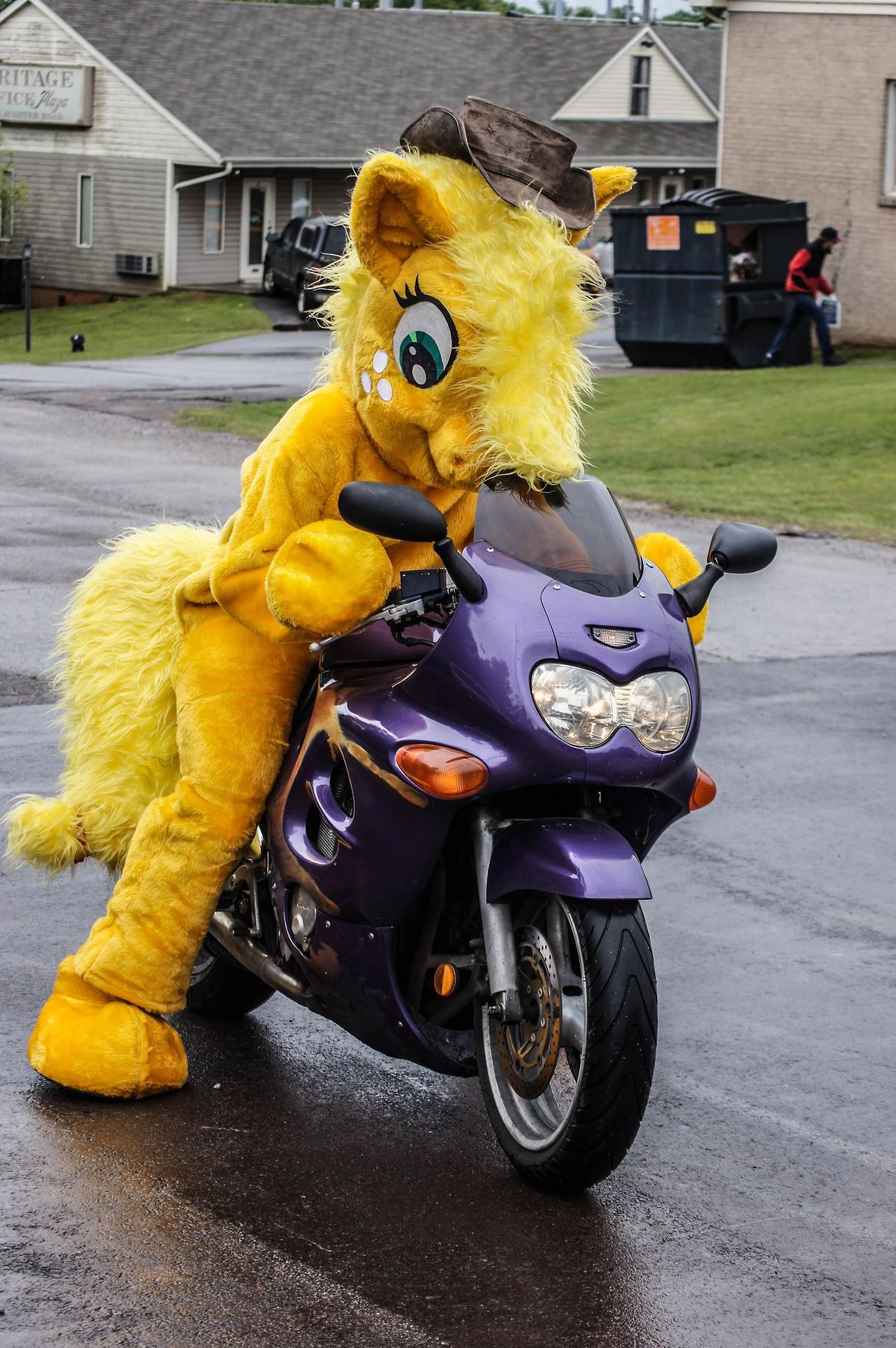 #344068 - safe, artist:judhudson, applejack, fursuit, irl, motorcycle ...