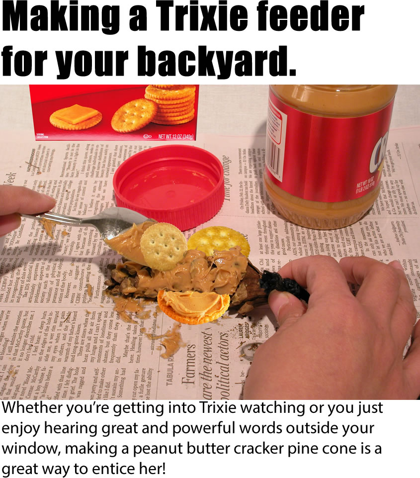 #383684 - safe, bird feeder, crossing the memes, implied trixie, meme ...