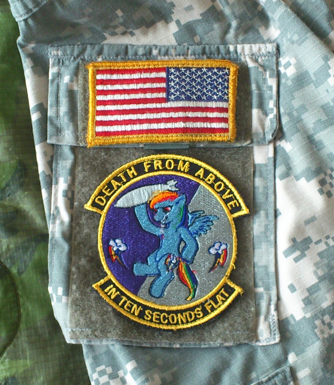 #421178 - safe, artist:skaleal, rainbow dash, patch, photo, us army ...