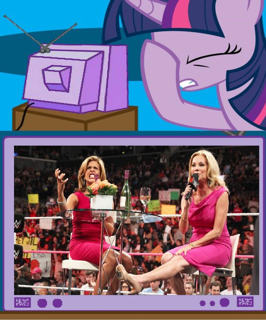 #737983 - safe, twilight sparkle, g4, exploitable meme, hoda kotb ...