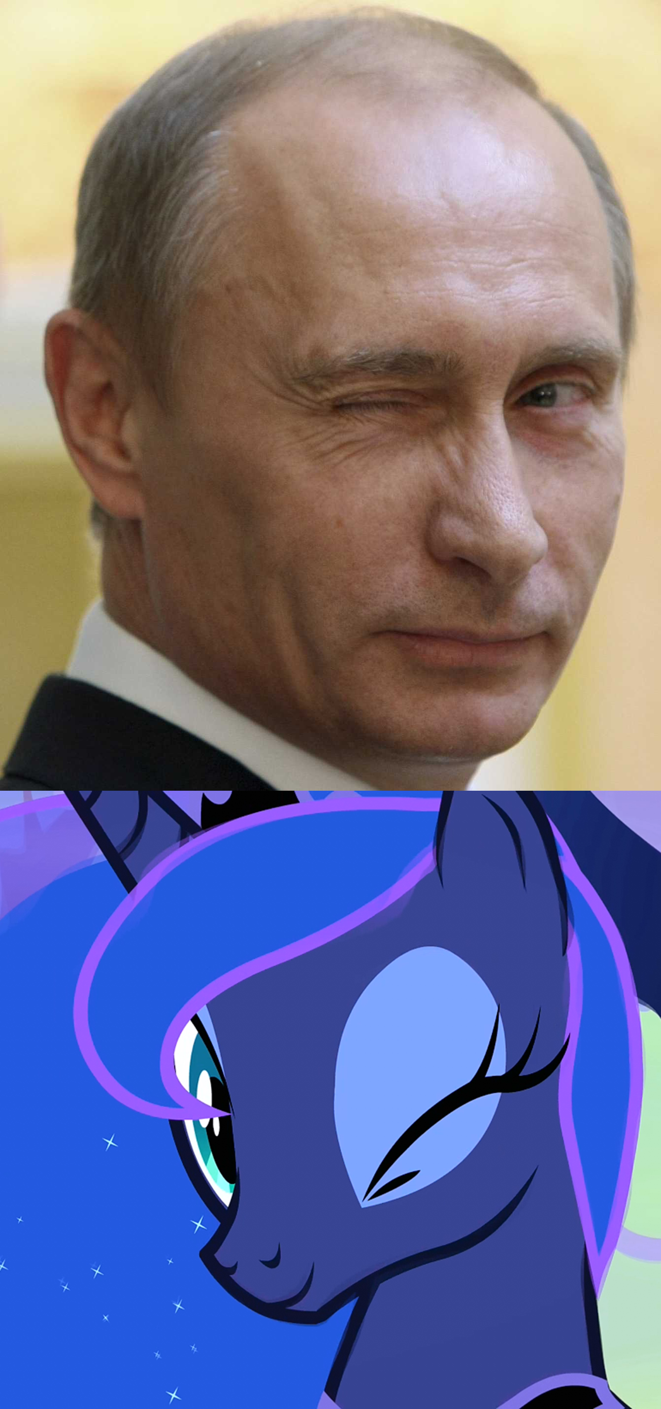 #582806 - safe, princess luna, flirting, lol, vladimir putin, wink ...