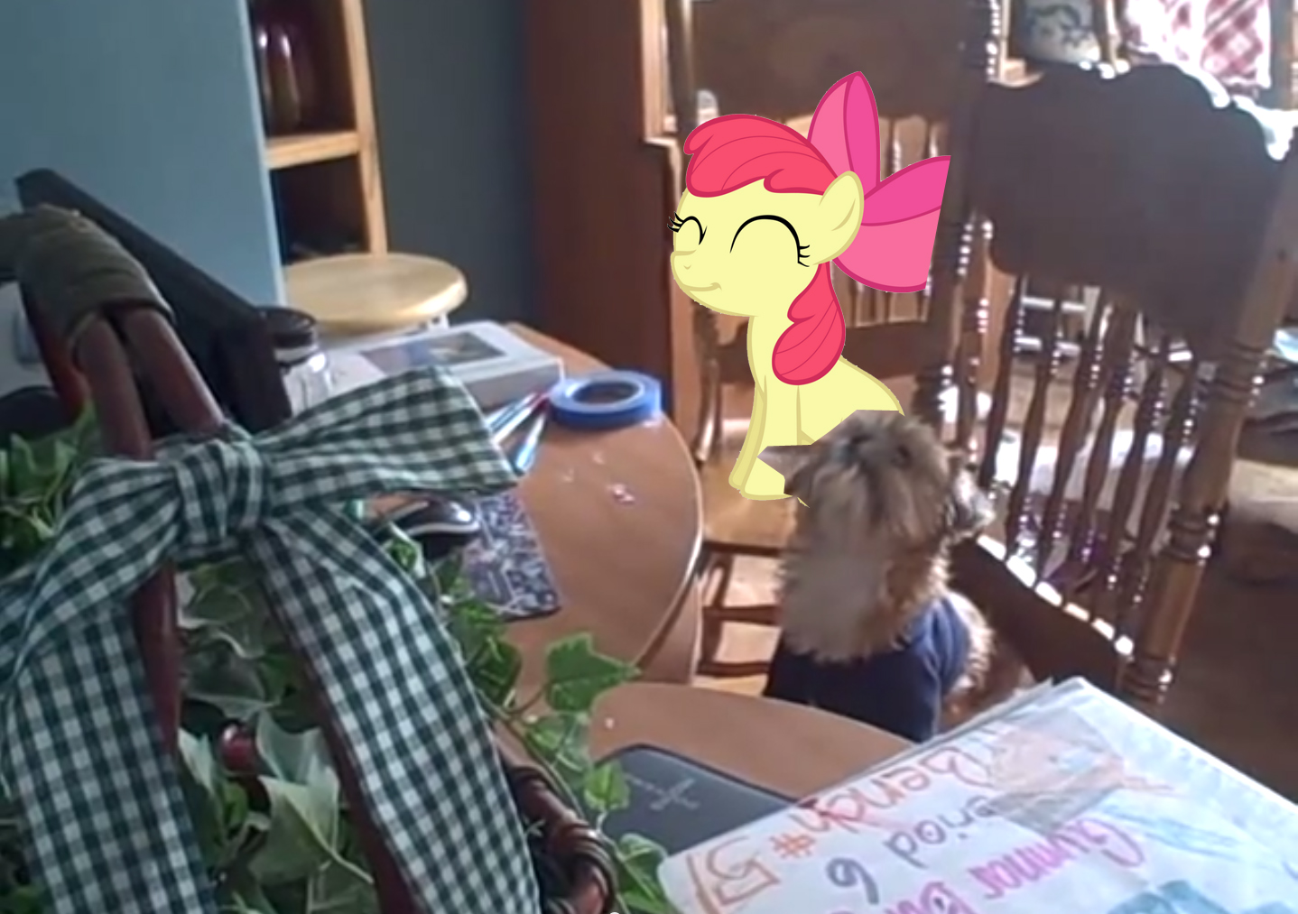 #599658 - safe, apple bloom, irl, photo, ponies in real life - Derpibooru