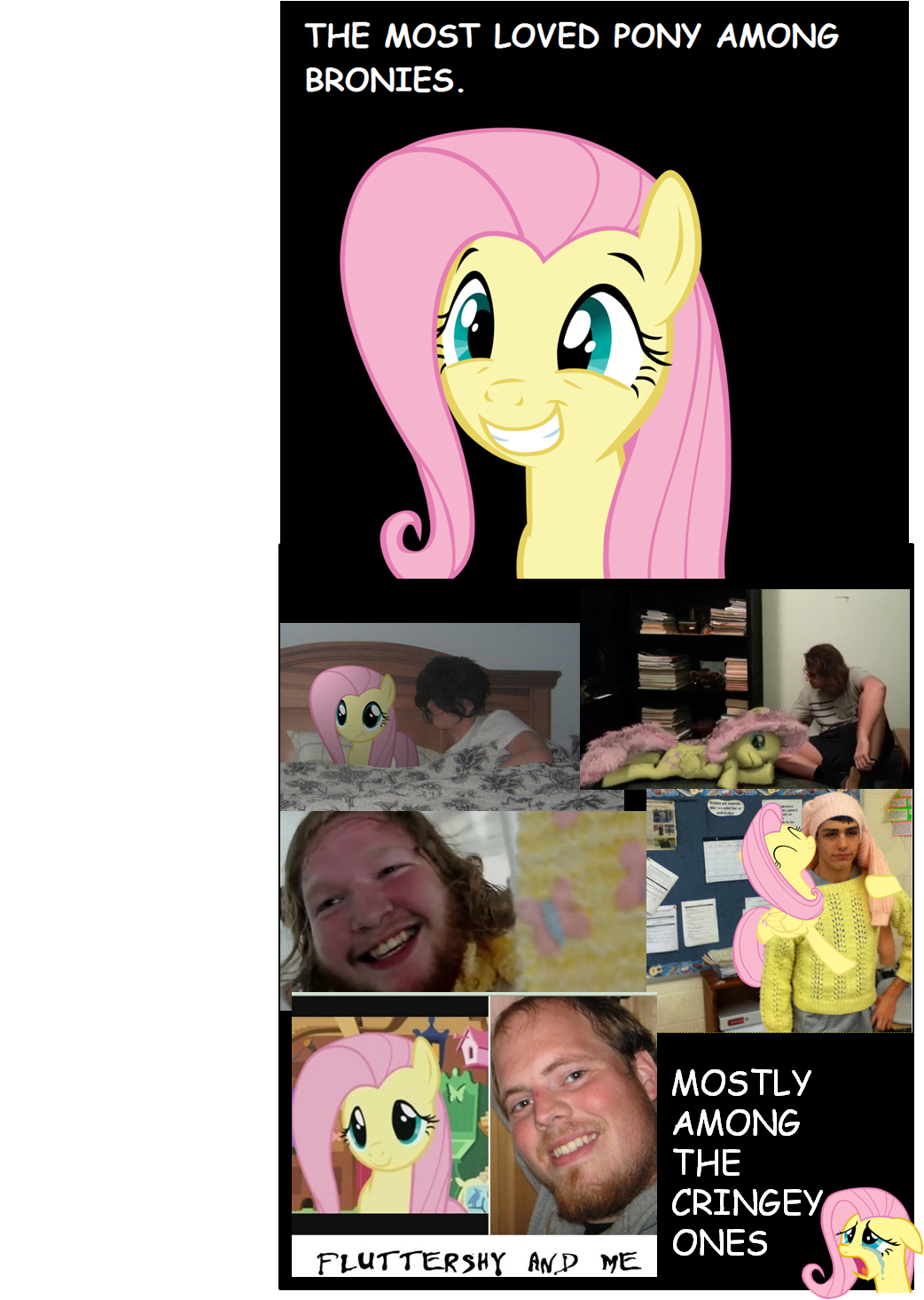 #594233 - safe, fluttershy, g4, brony, irl, metalgriffen69 ...