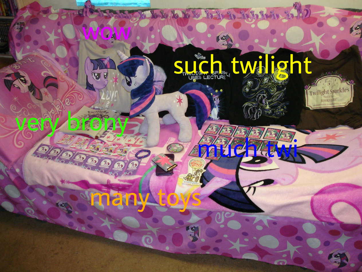 #594525 - safe, twilight sparkle, doge, jin, meme, twilight collection ...