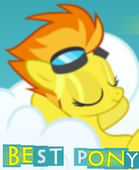 #654903 - safe, spitfire, pegasus, pony, g4, best pony, expand dong ...