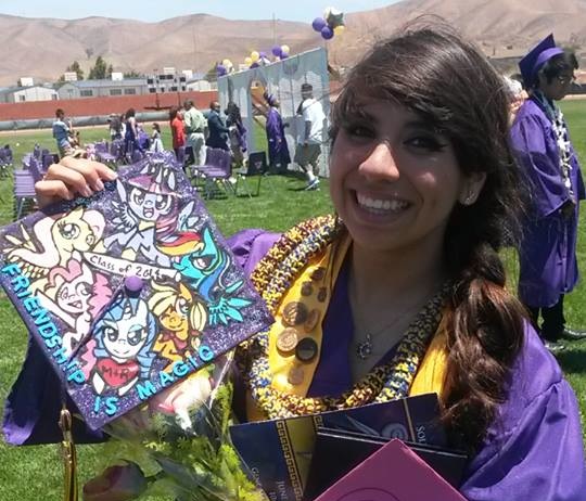 #657013 - safe, applejack, fluttershy, pinkie pie, rainbow dash, rarity ...