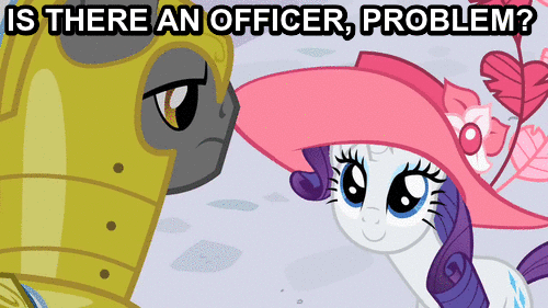 #643215 - safe, rarity, animated, female, hat, image macro, meme, royal ...