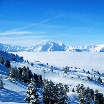 #826145 - safe, artist:tentacuddles, ruby pinch, ask pinchy, g4 ...