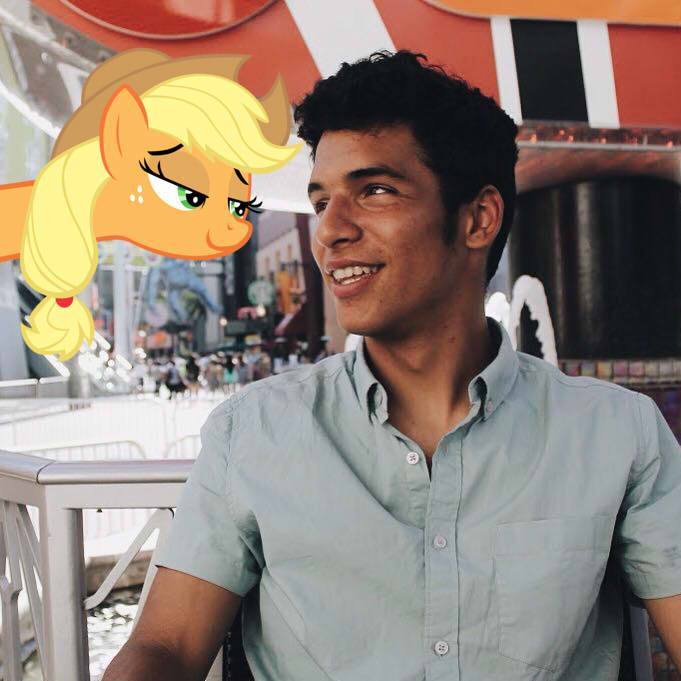 #958038 - safe, applejack, human, g4, irl, irl human, photo, ponies in ...
