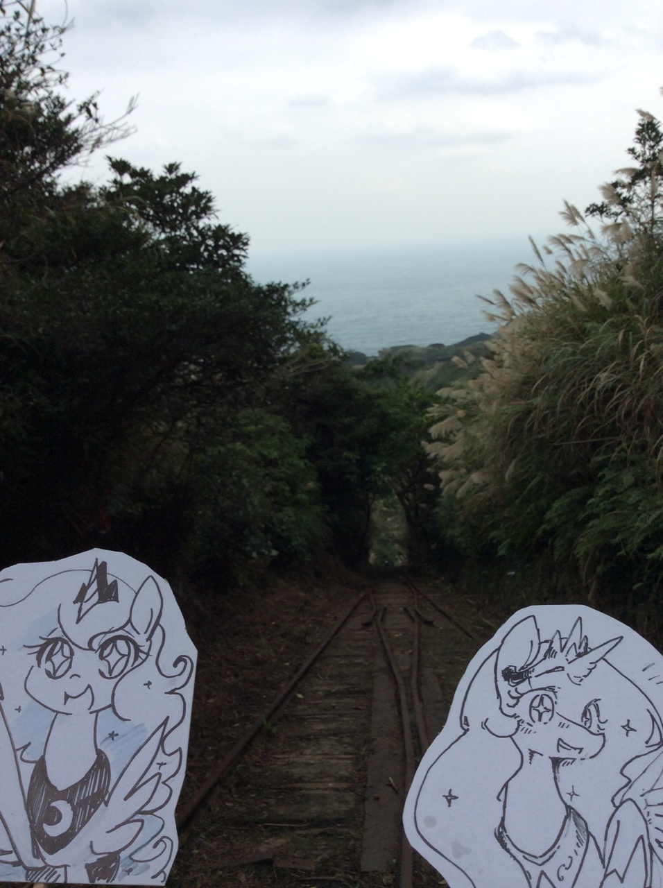 #1360000 - safe, artist:toki, princess celestia, princess luna, g4 ...