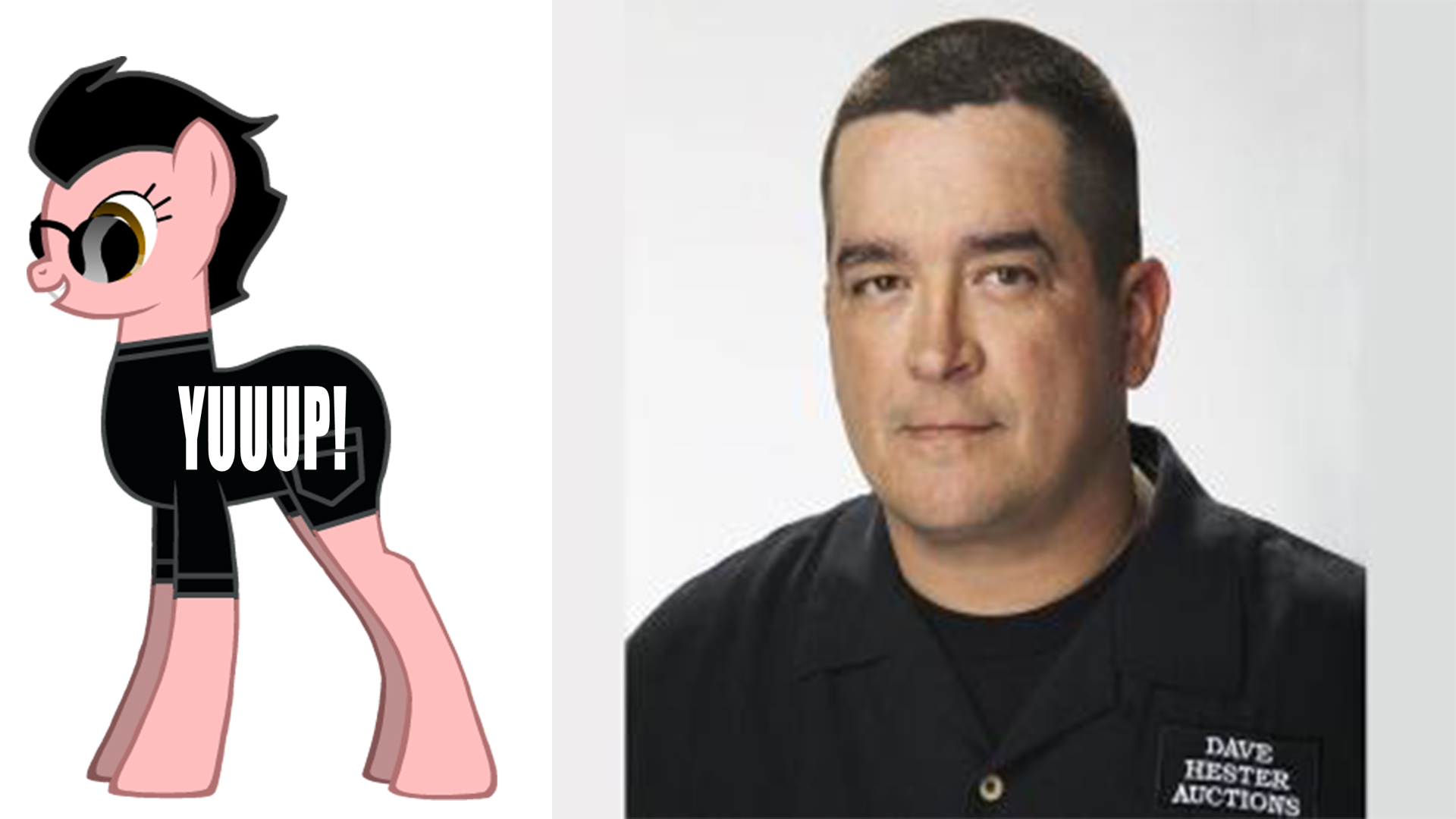 #1713356 - safe, artist:ponylover88, pony creator, dave hester jr ...