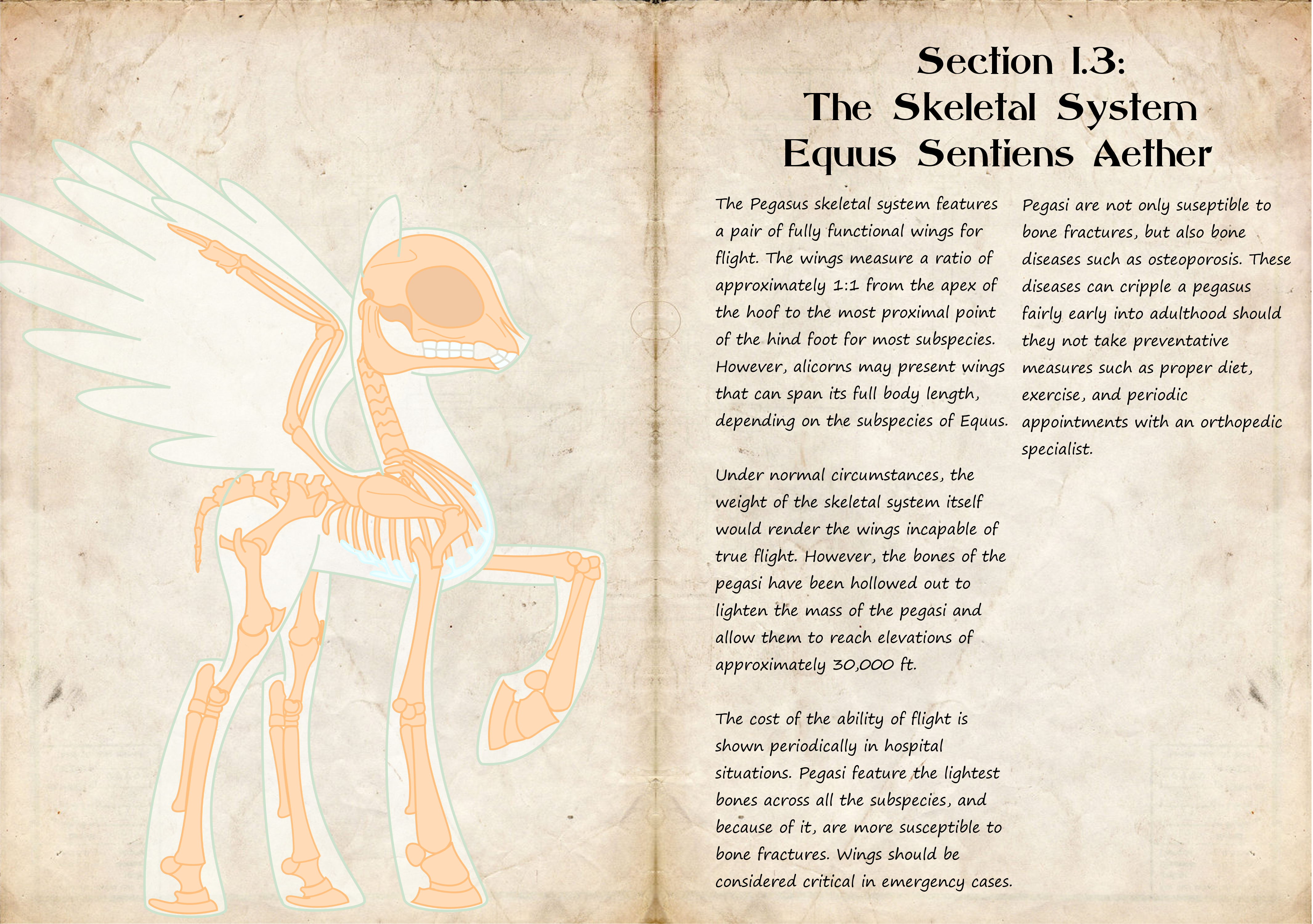 #1810892 - safe, artist:xinimator, pegasus, pony, anatomy, bone ...