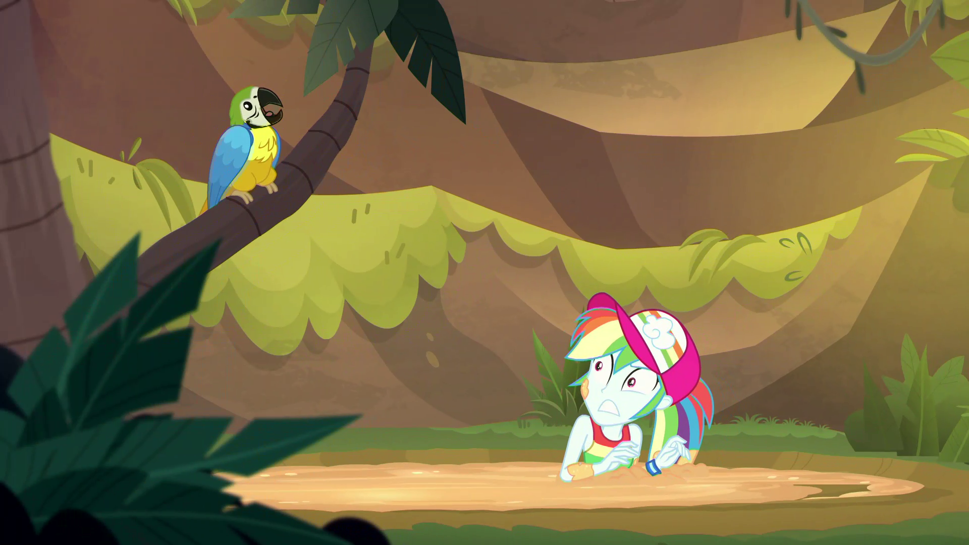 #2001842 - baseball cap, bird, blue-and-yellow macaw, cap, clothes, duo ...