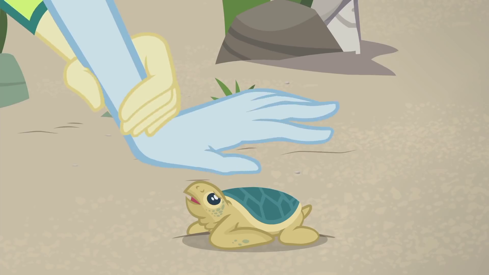 #2659594 - safe, screencap, fluttershy, rainbow dash, turtle, aww ...