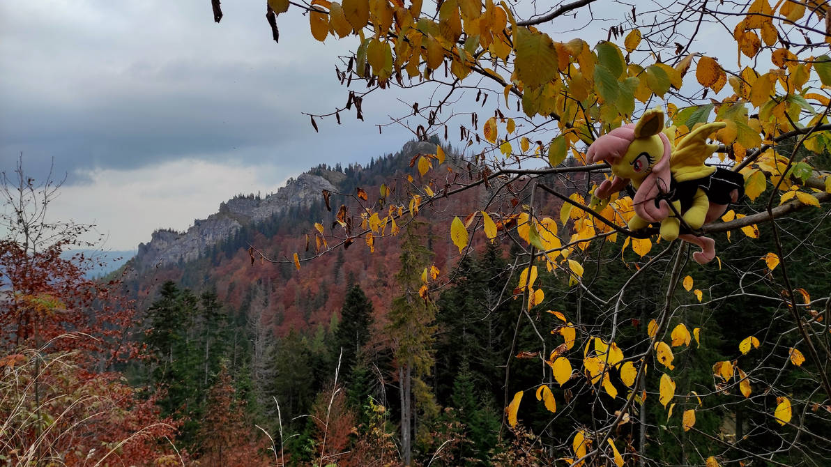 #2979050 - safe, fluttershy, bat pony, pony, g4, bat ponified, female ...