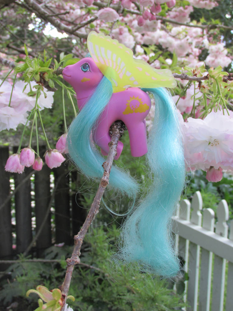 #2991377 - safe, photographer:normaleeinsane, sun glider, g1, fence ...