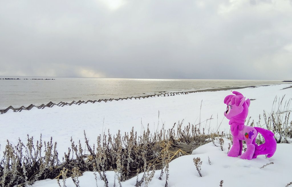 #2803333 - safe, photographer:pakapaka1993, berry punch, berryshine ...