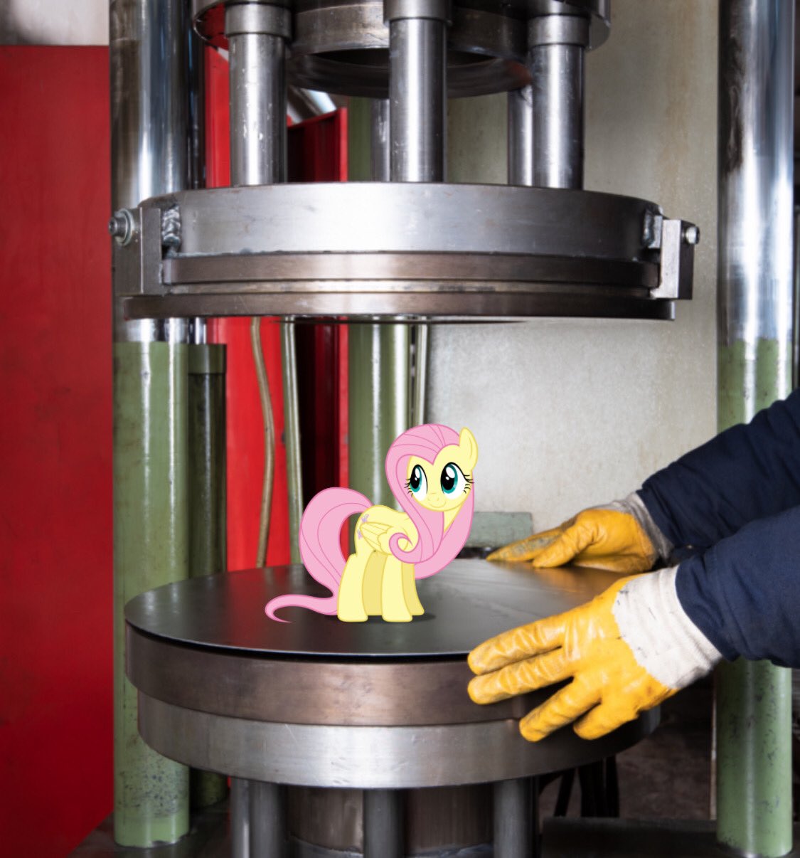 #2947754 - safe, artist:bloommoonbeam, edit, fluttershy, human, pegasus ...