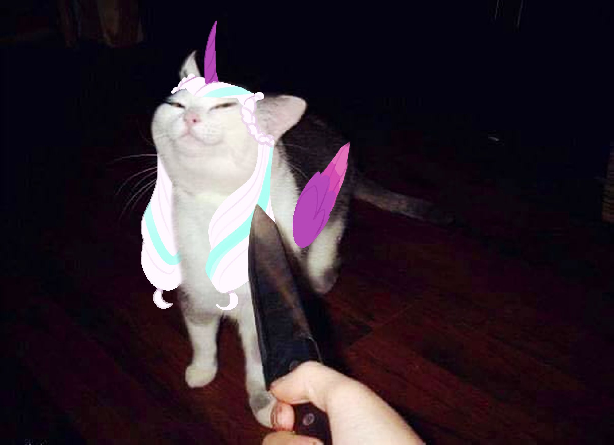 #3214541 - safe, artist:maren, opaline arcana, alicorn, cat, human ...