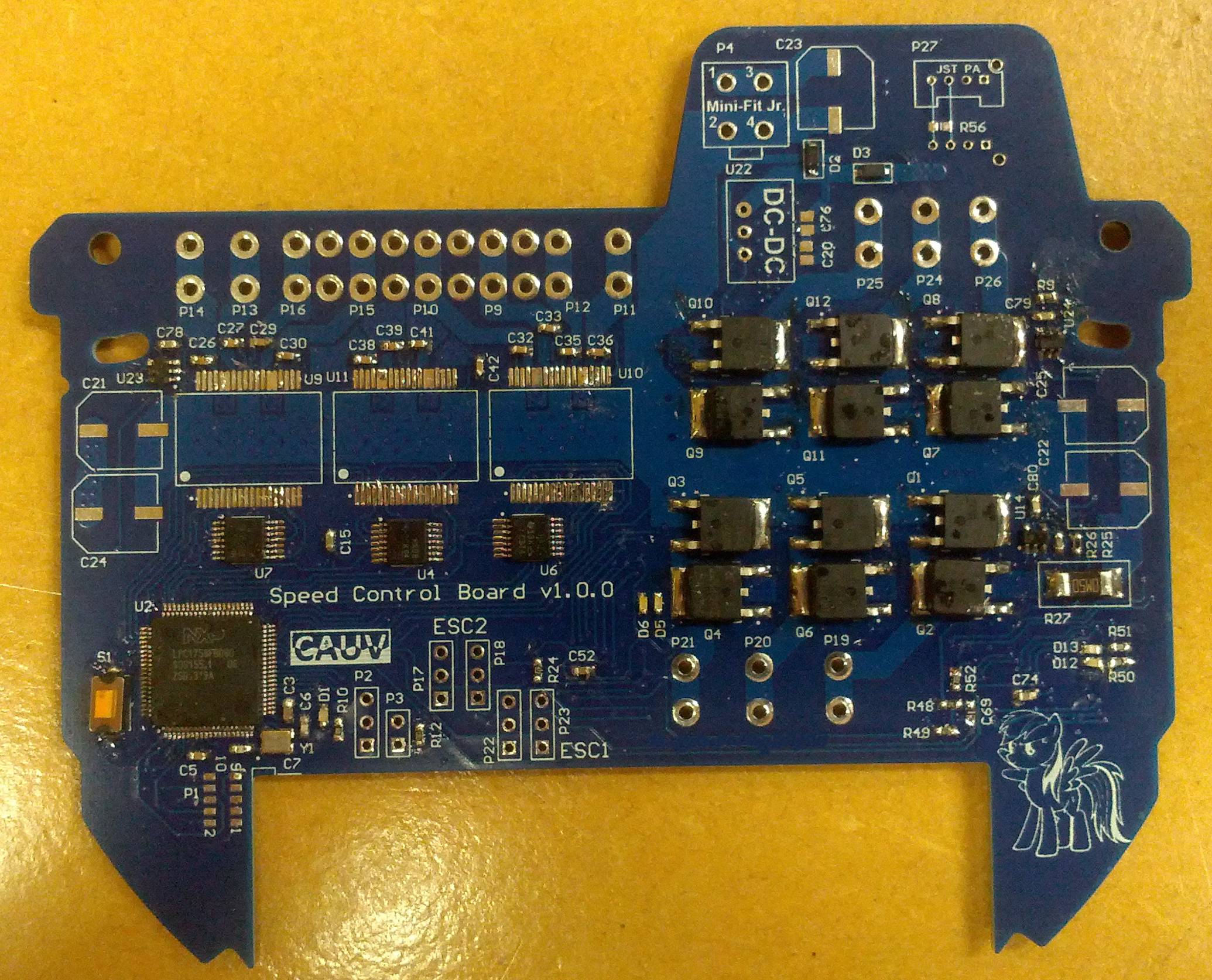 #3244991 - safe, rainbow dash, pegasus, pony, g4, female, irl, mare ...