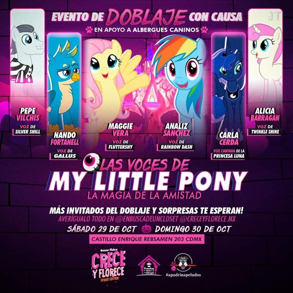 #3074914 - safe, fluttershy, gallus, princess luna, rainbow dash ...