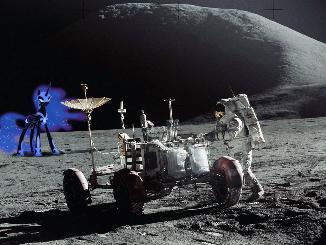 #3083526 - safe, artist:zetter-berg, edit, photographer:david scott ...