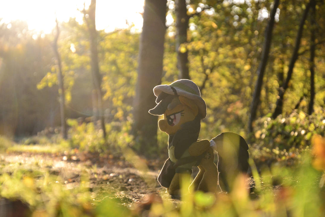 #3463422 - safe, artist:mgrdash, daring do, pegasus, pony, g4, autumn ...