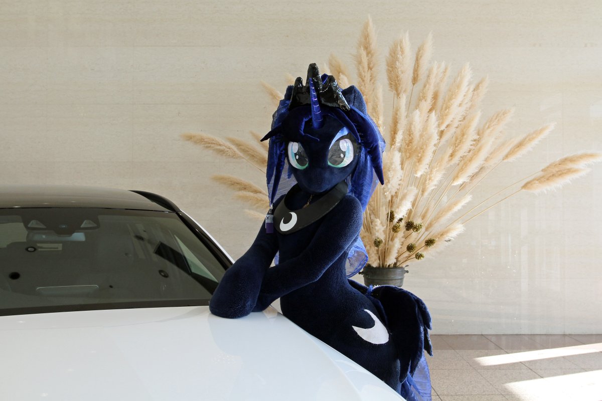 #3464118 - safe, princess luna, 2017, car, fursuit, indoors, irl ...