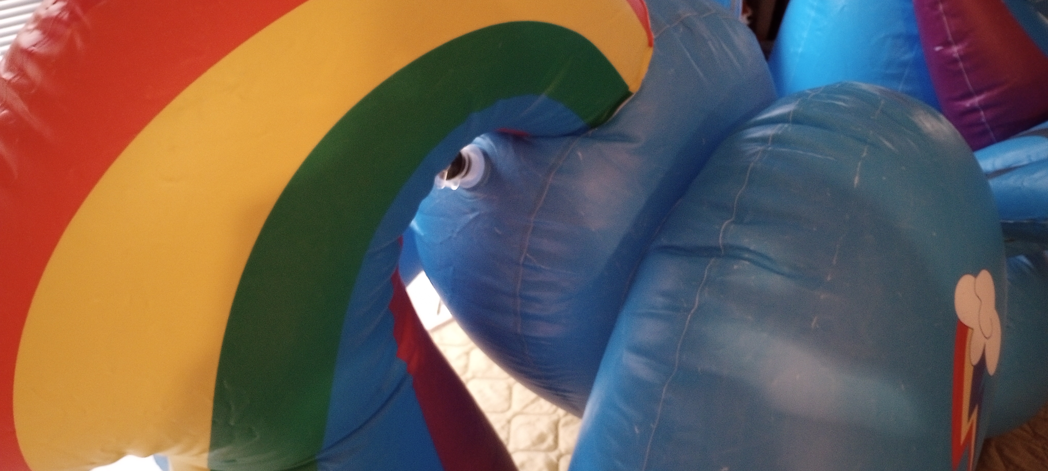 #3472614 - safe, photographer:anonymous, rainbow dash, inflatable pony ...