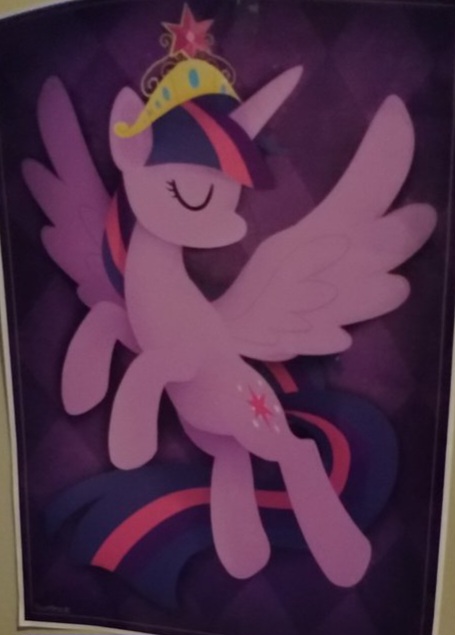 #3511826 - safe, twilight sparkle, alicorn, pony, g4, female, irl, photo, poster, solo, twilight ...
