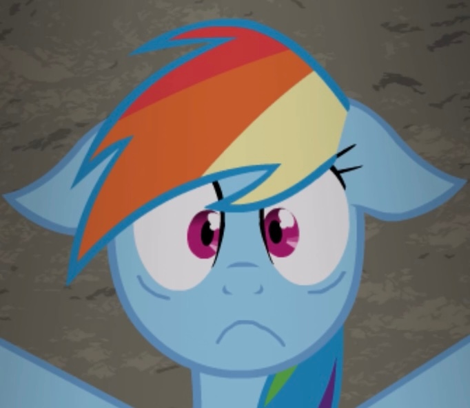 #3353518 - safe, rainbow dash, pegasus, pony, confused - Derpibooru